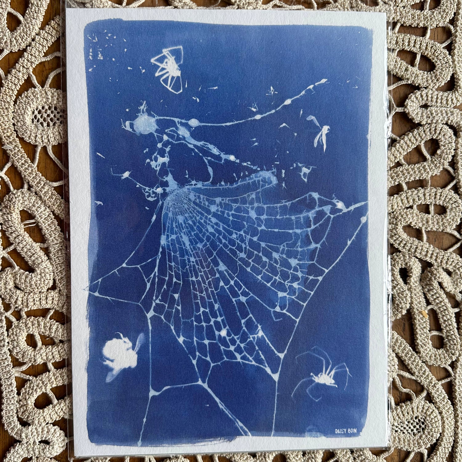 Real Spider Web Cyanotype Print – Daisy Bow Craft